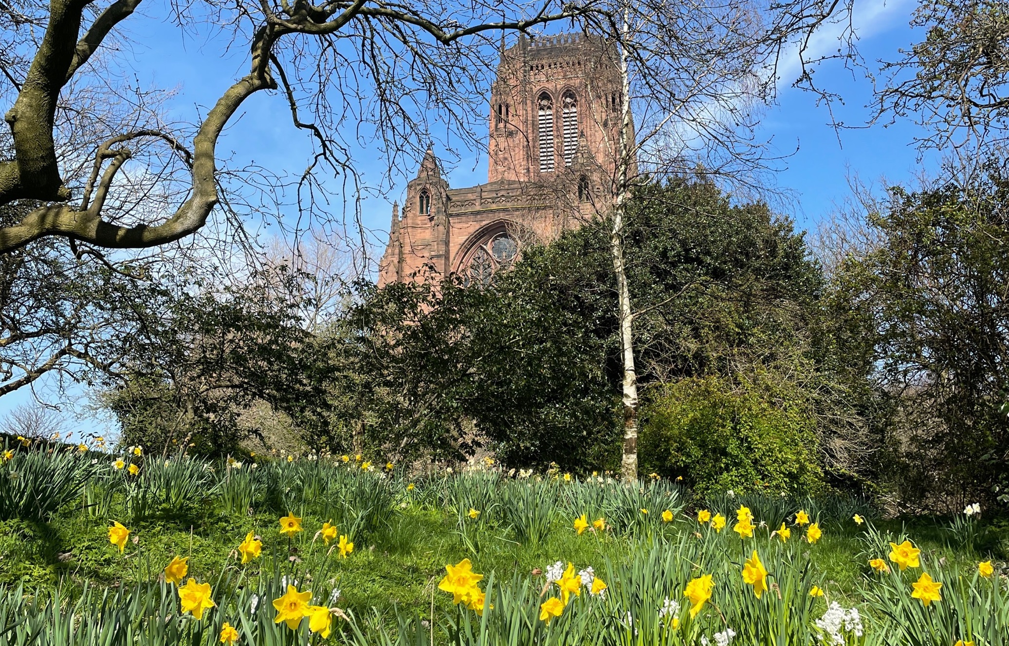 Celebrating St. David's Day: Embracing Welsh Heritage and Community ...